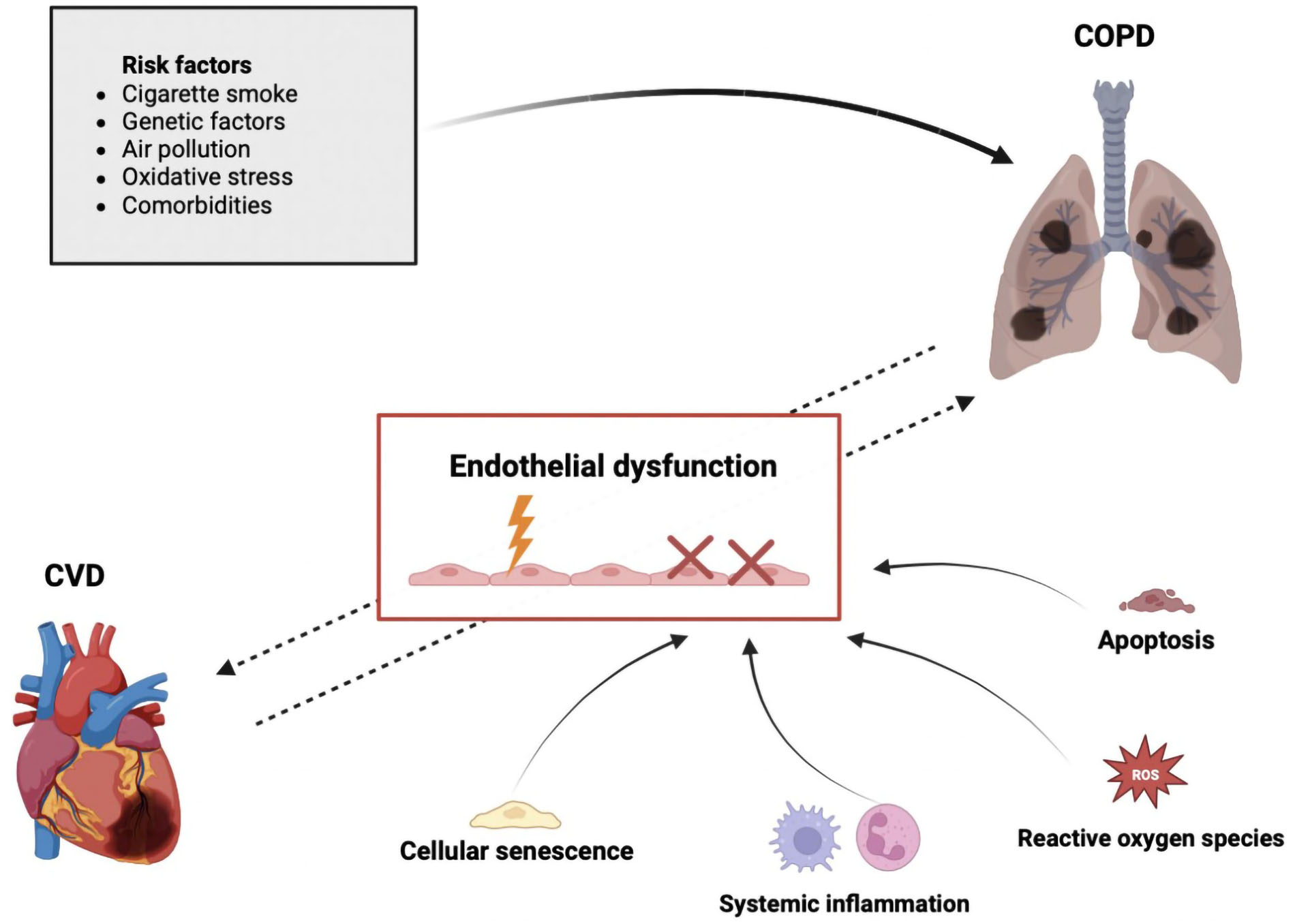 Exploration of Medicine