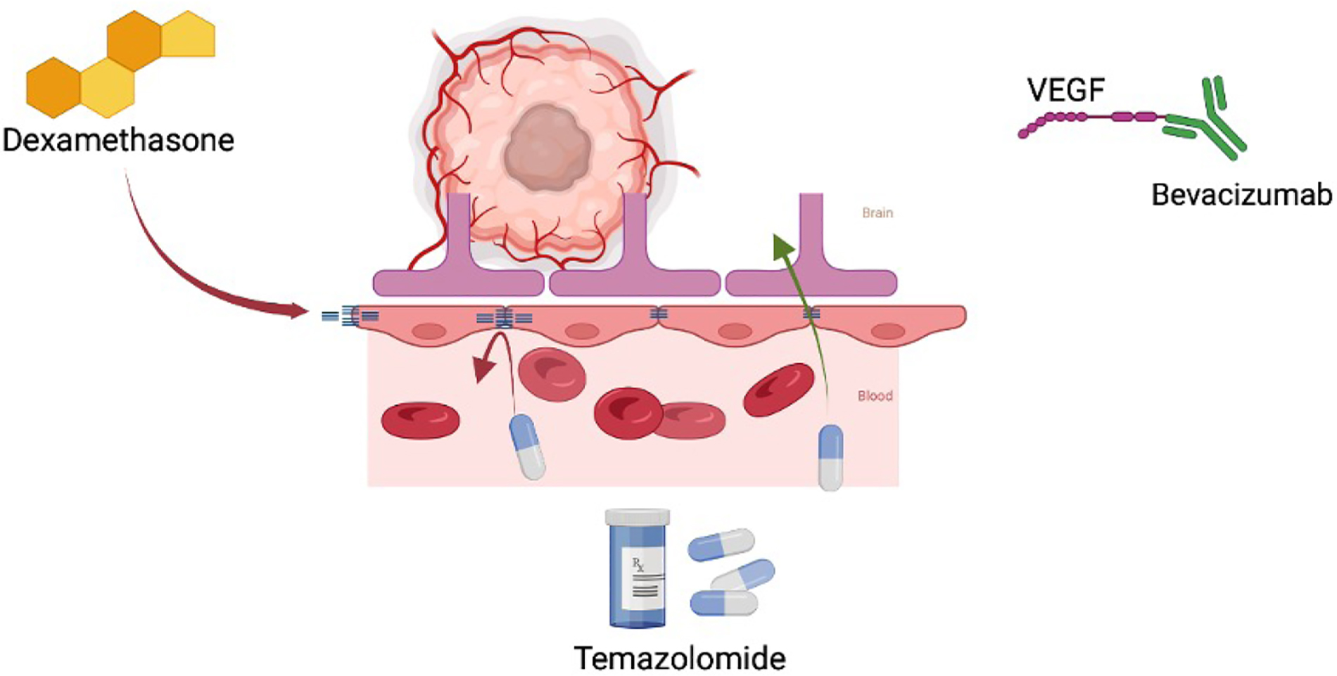Exploration of Targeted Anti-tumor Therapy