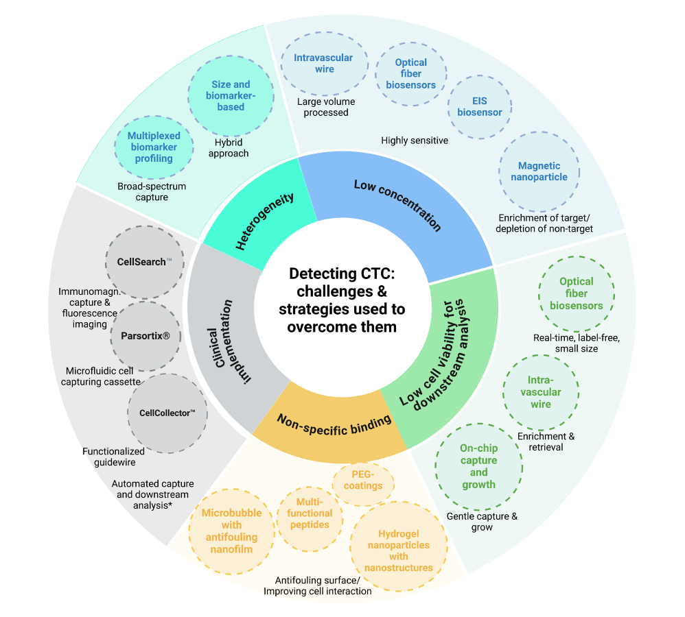 Exploration of Targeted Anti-tumor Therapy