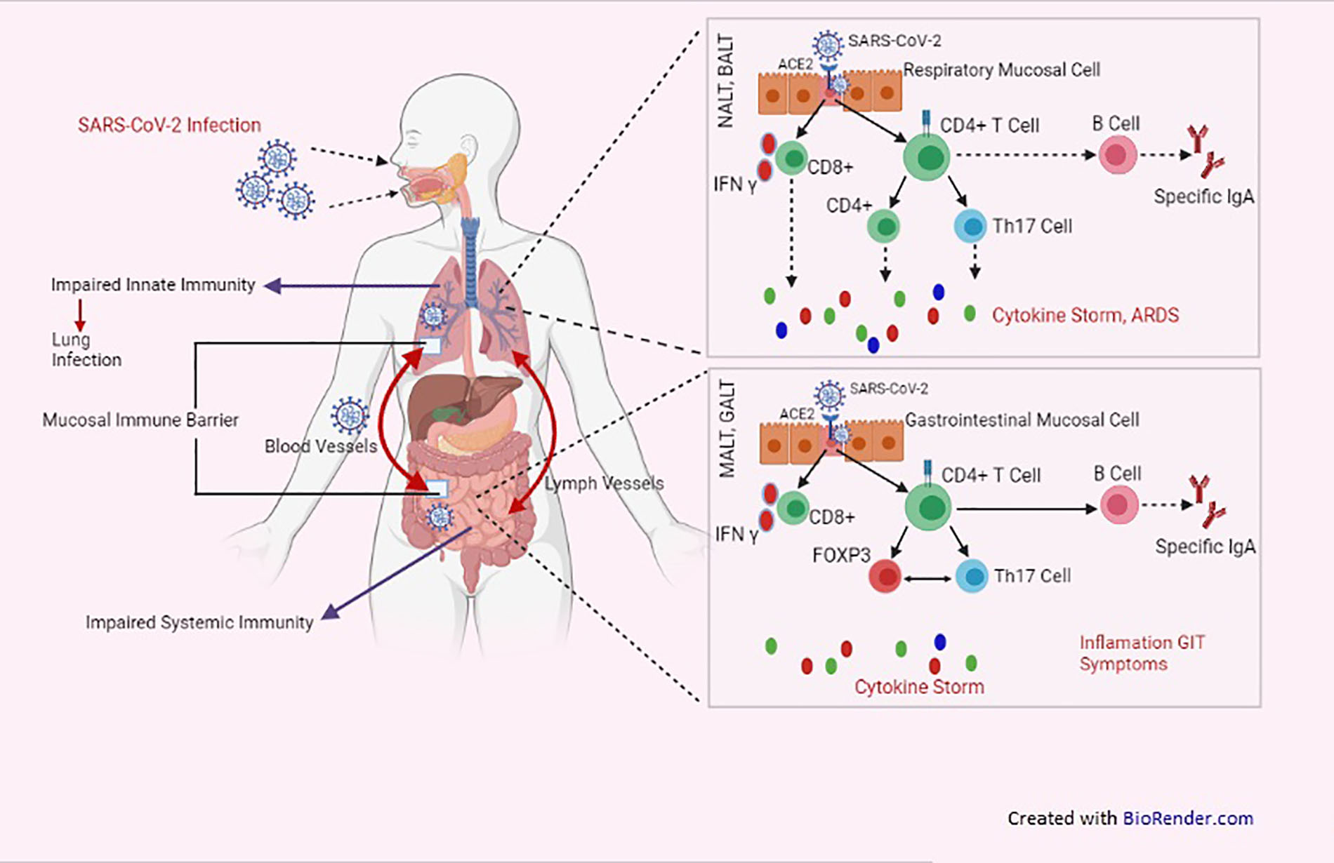 Exploration of Immunology