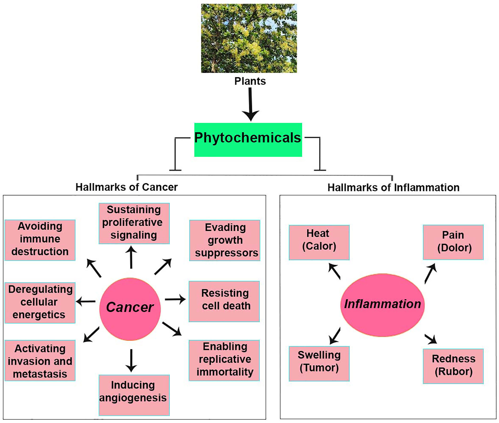 Exploration of Drug Science