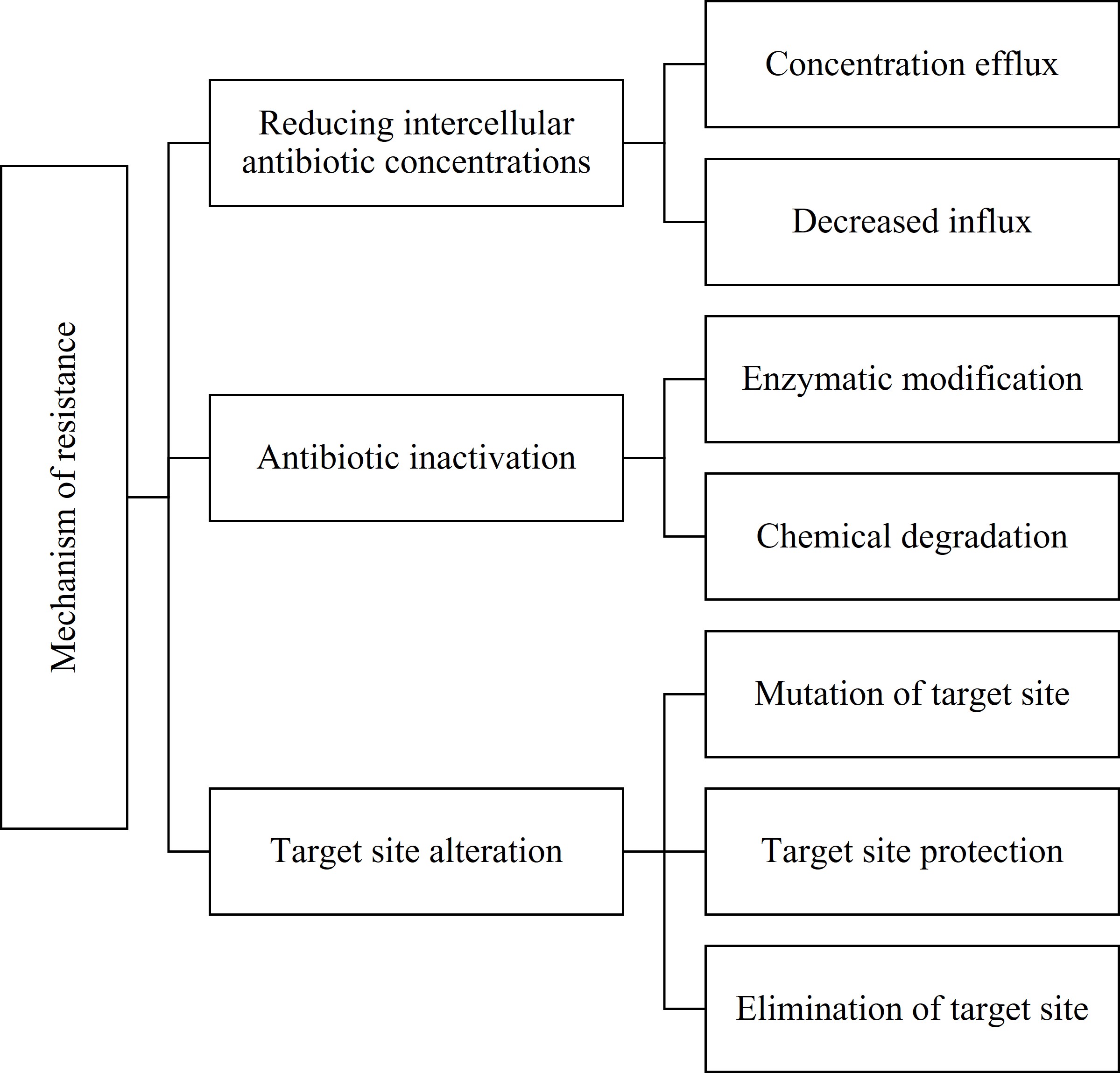 Exploration of Drug Science